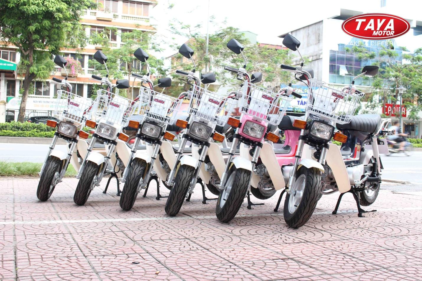 Xe máy 50cc Chaly Taya (xanh cửu long)